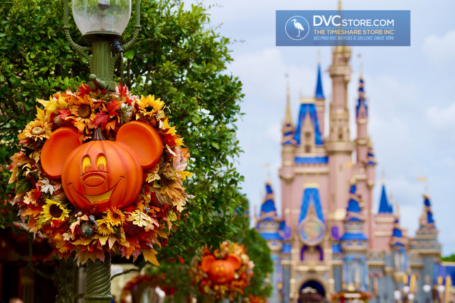Tips for Planning a Fall Visit to DVC | DVC Store Blog