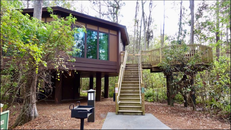Disney’s Treehouse Villas At Saratoga Springs - A Childhood Dream ...